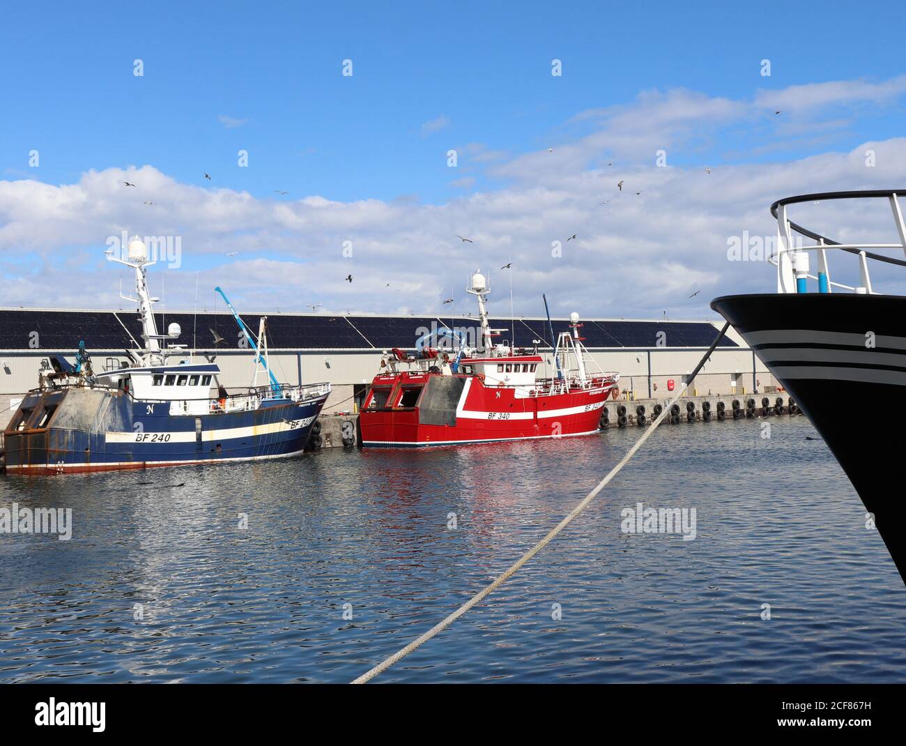 Fishing boats in harbour Stock Photo - Alamy