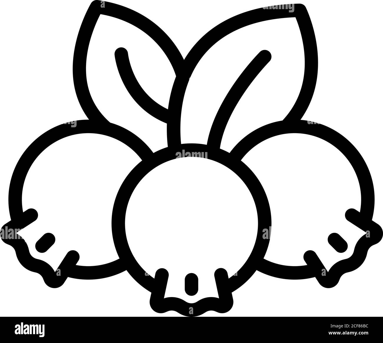 Branch mountain ash tree Black and White Stock Photos & Images - Alamy