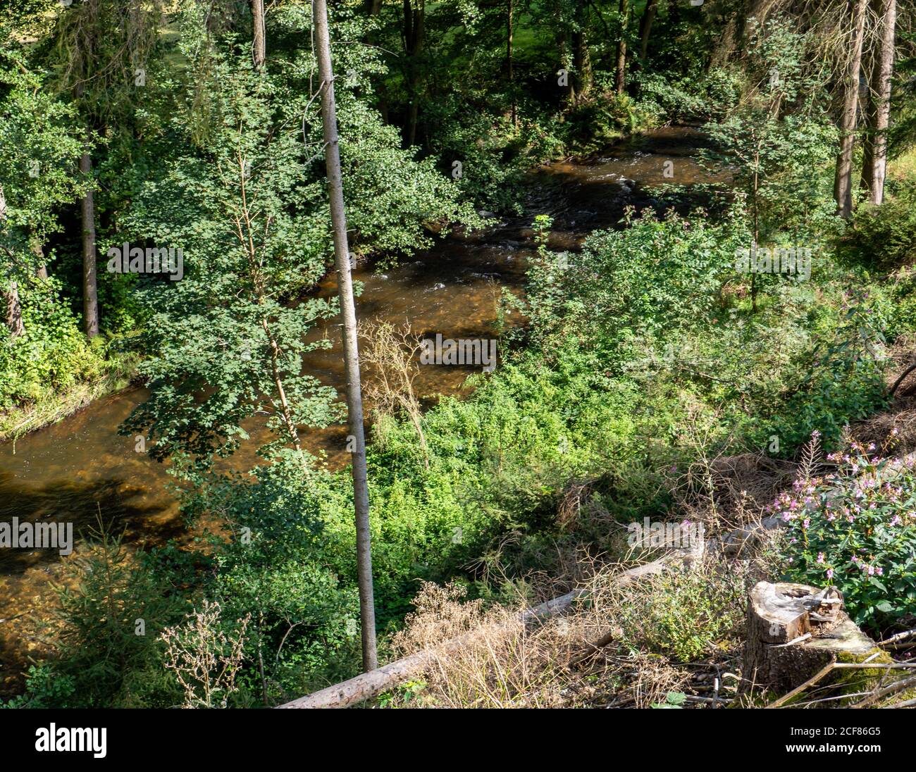 Goeltzsch hi-res stock photography and images - Alamy