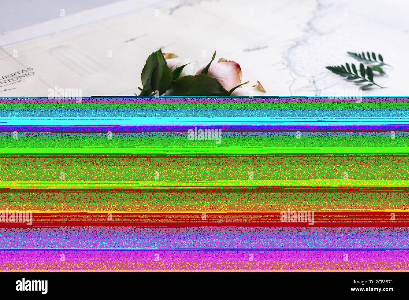 Map of leaves hi-res stock photography and images - Alamy