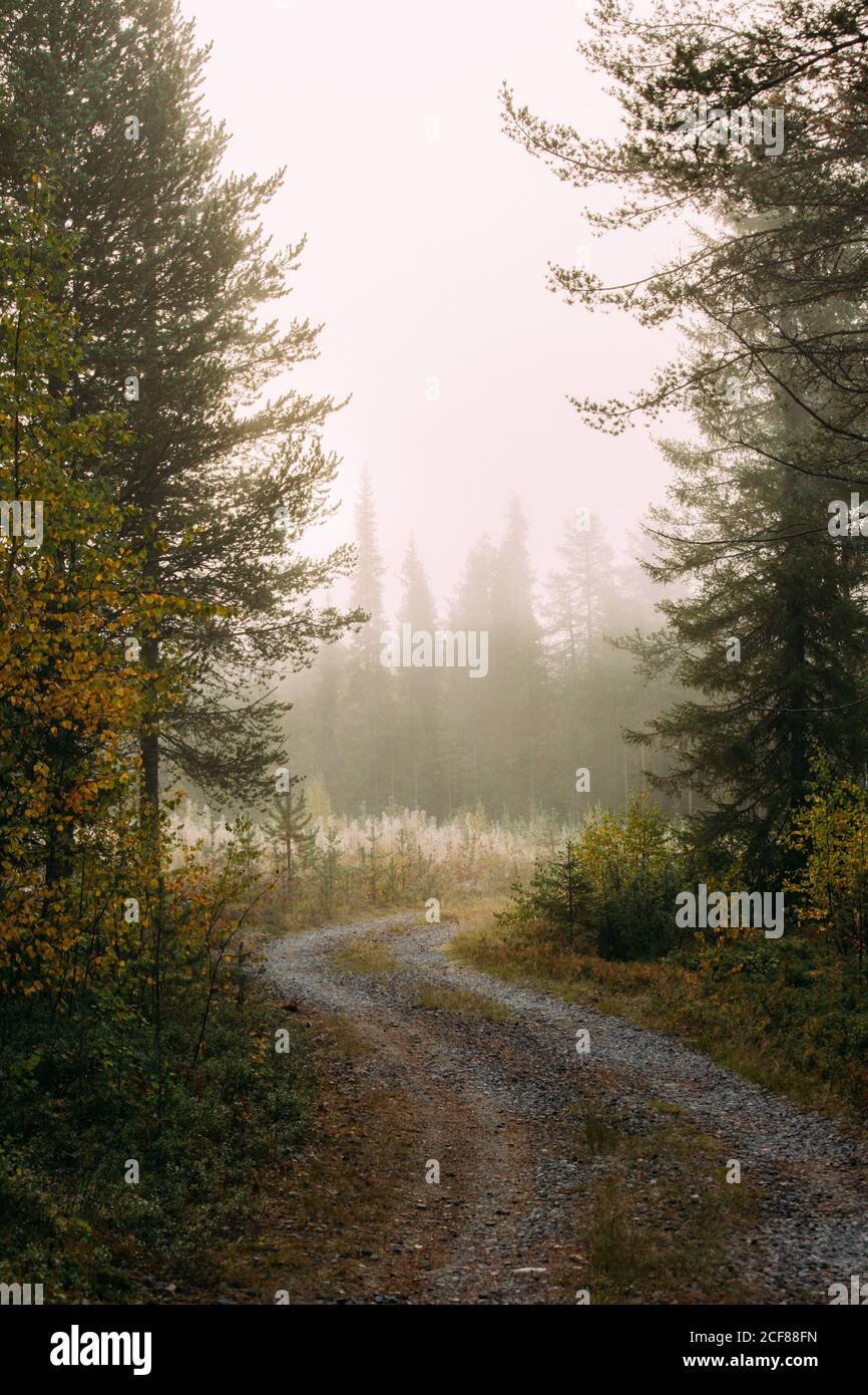 Winding forest path through autumn hi-res stock photography and images ...