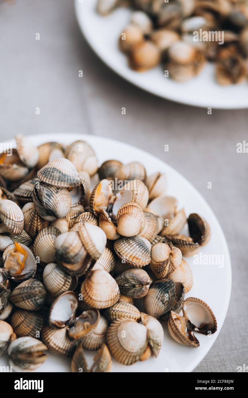 From above plate of small edible seashells placed on table during ...