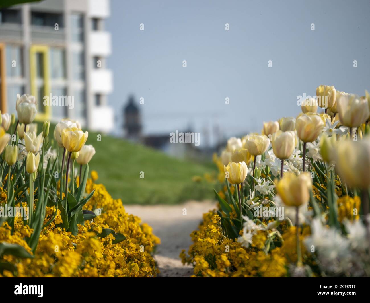 Variety of blooming flowers in a garden of resort buildings Stock Photo - Alamy