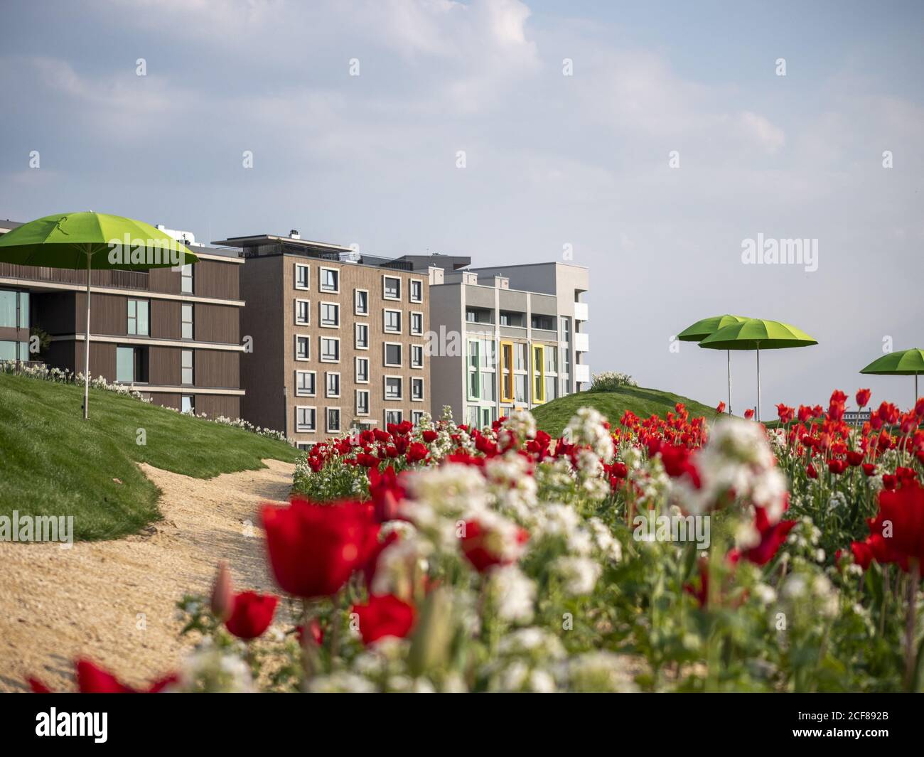 Variety of blooming flowers in a garden of resort buildings Stock Photo - Alamy