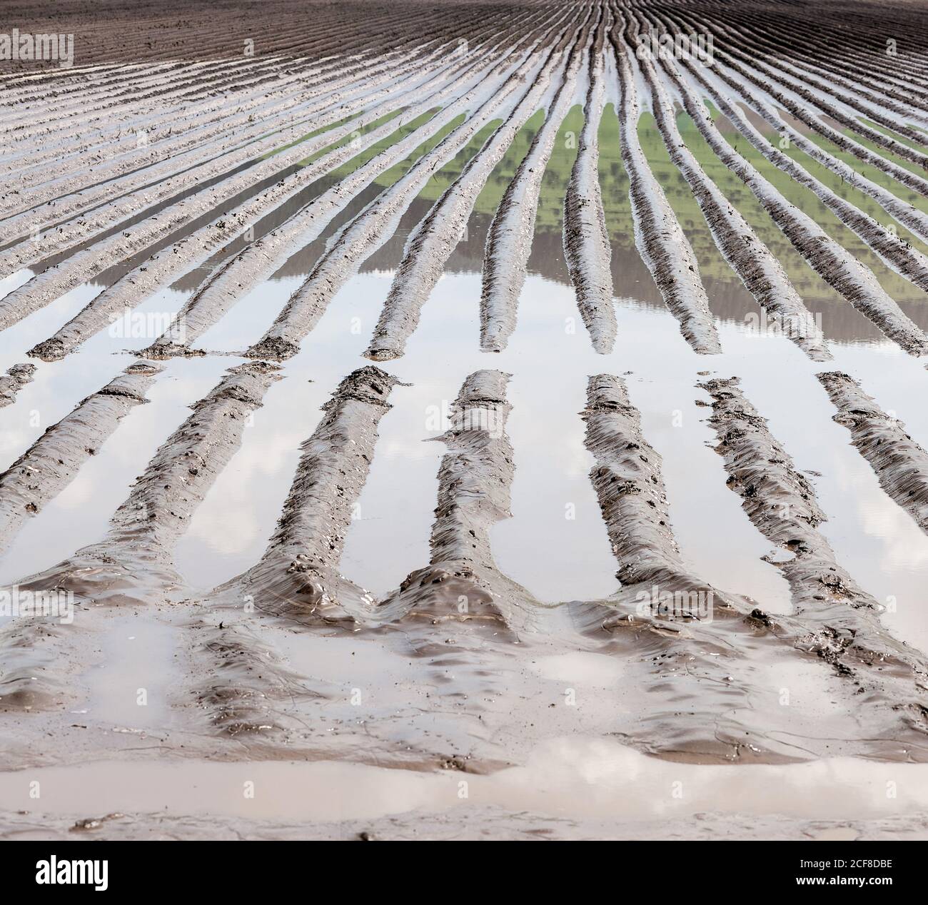 Underwater agriculture hi-res stock photography and images - Alamy