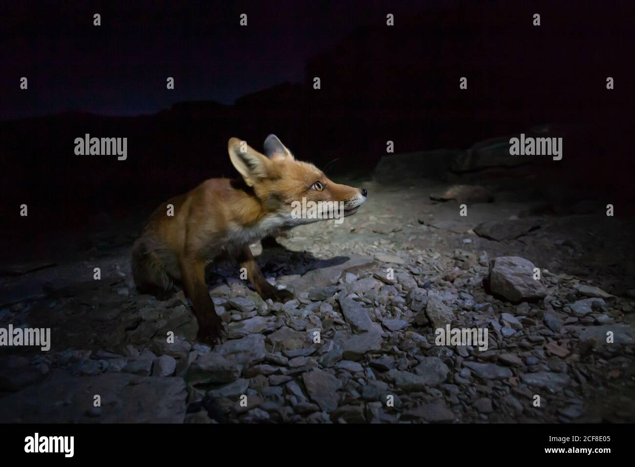 Fragments face hi-res stock photography and images - Alamy