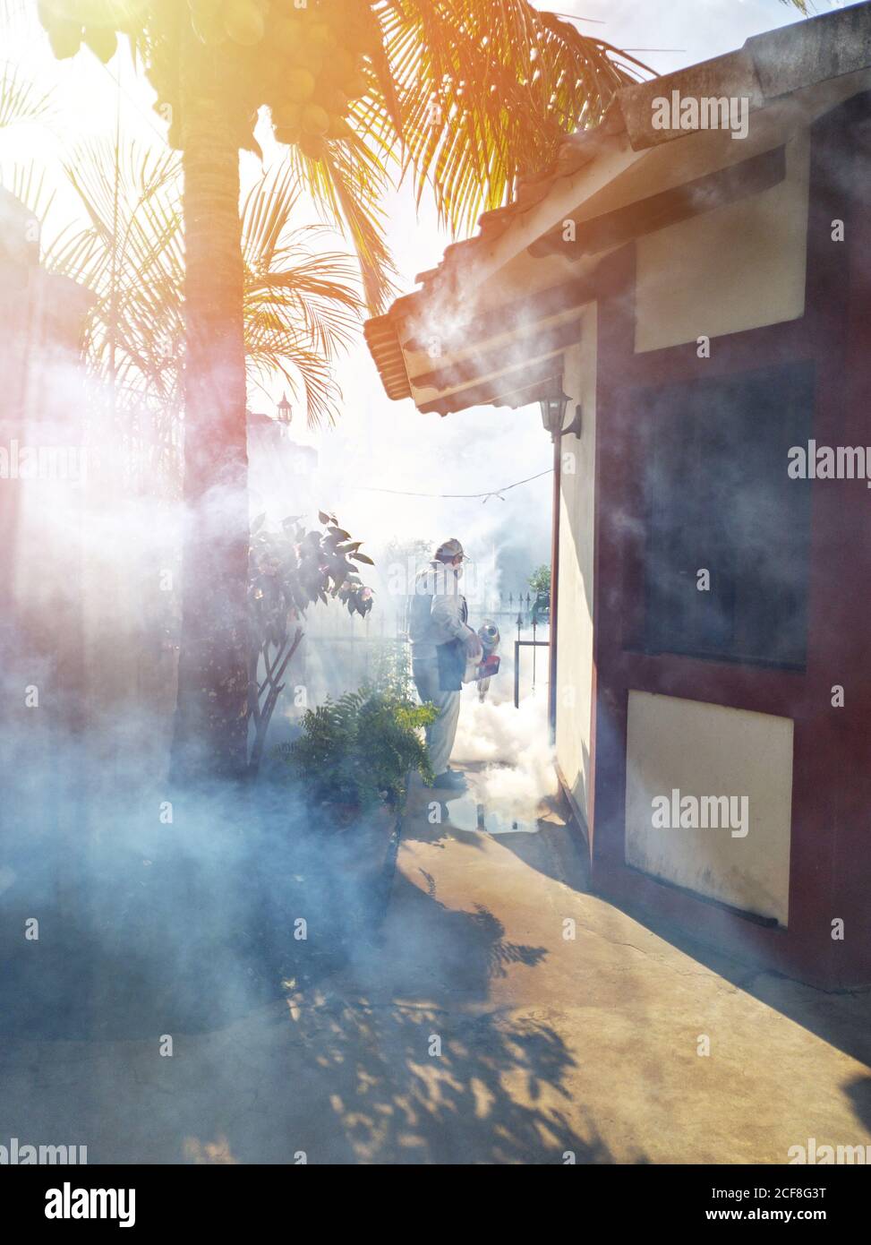 Man doing insect disinfection service. Killing pest with toxic fog ...