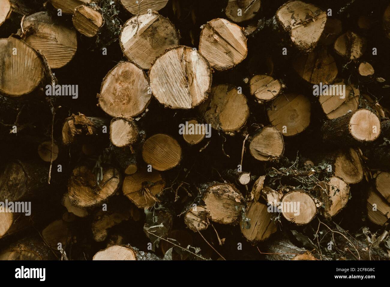 Natural drying of logs hi-res stock photography and images - Alamy