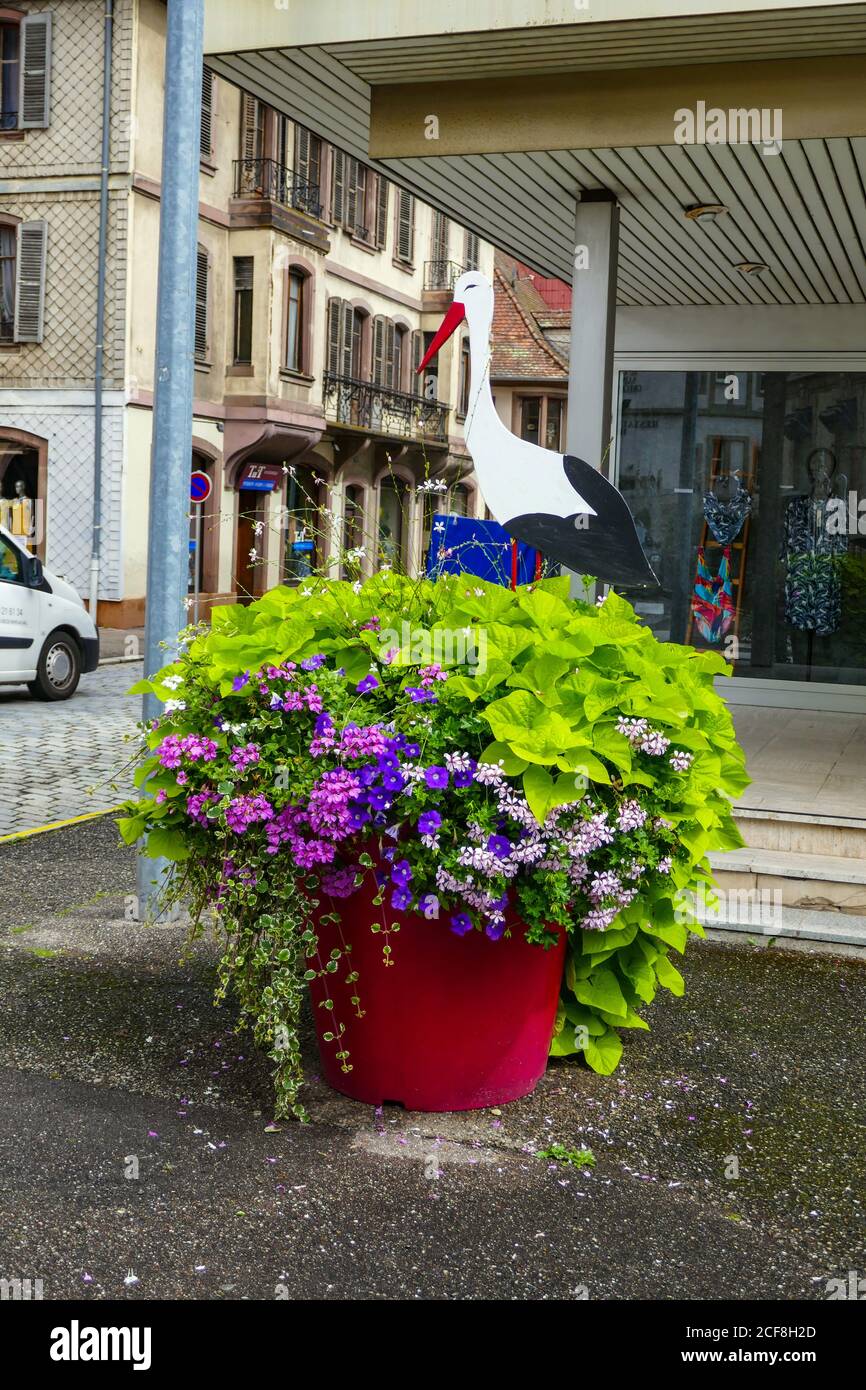 Planters france hi-res stock photography and images - Alamy