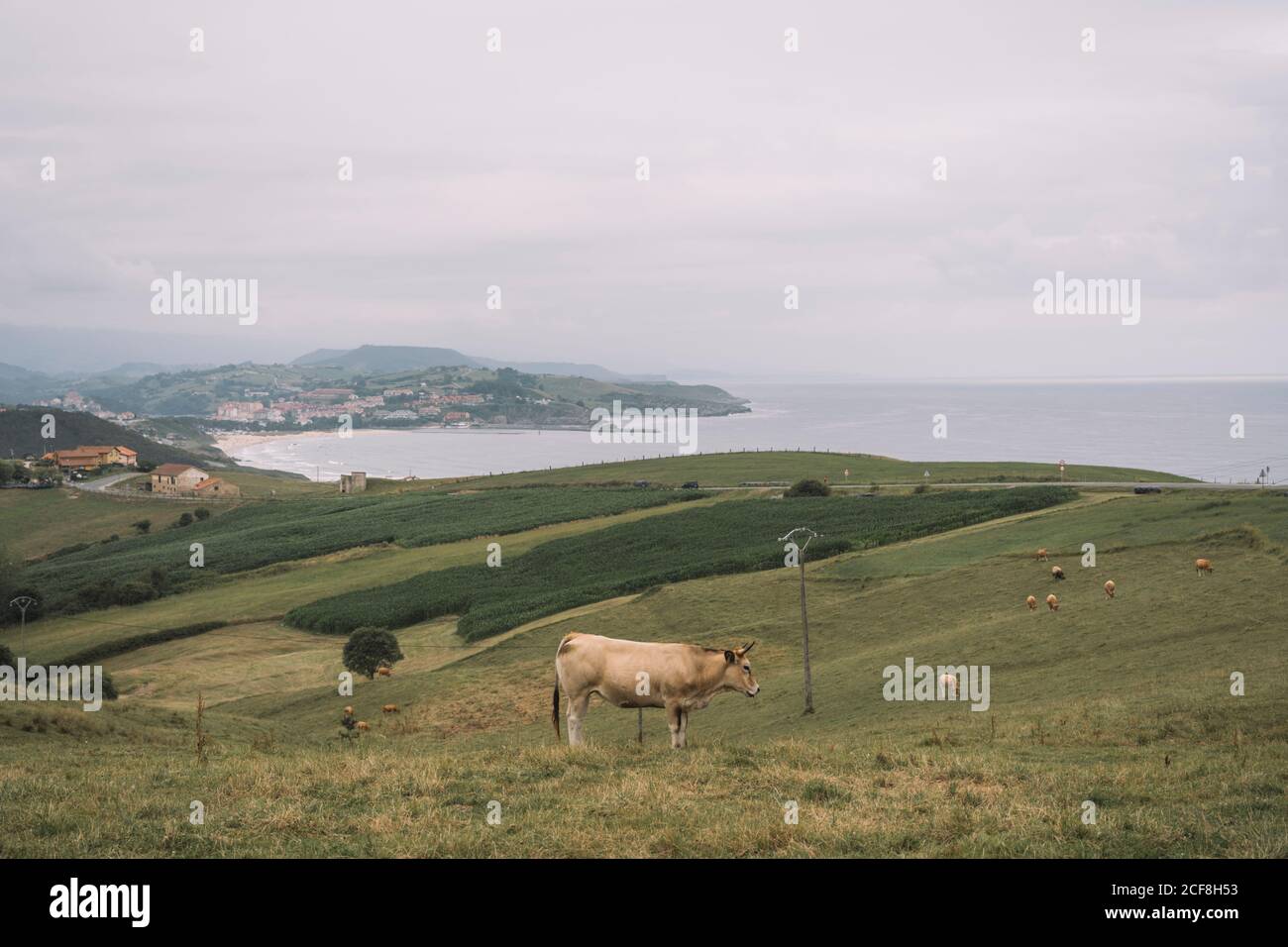 Empty village green hi-res stock photography and images - Alamy