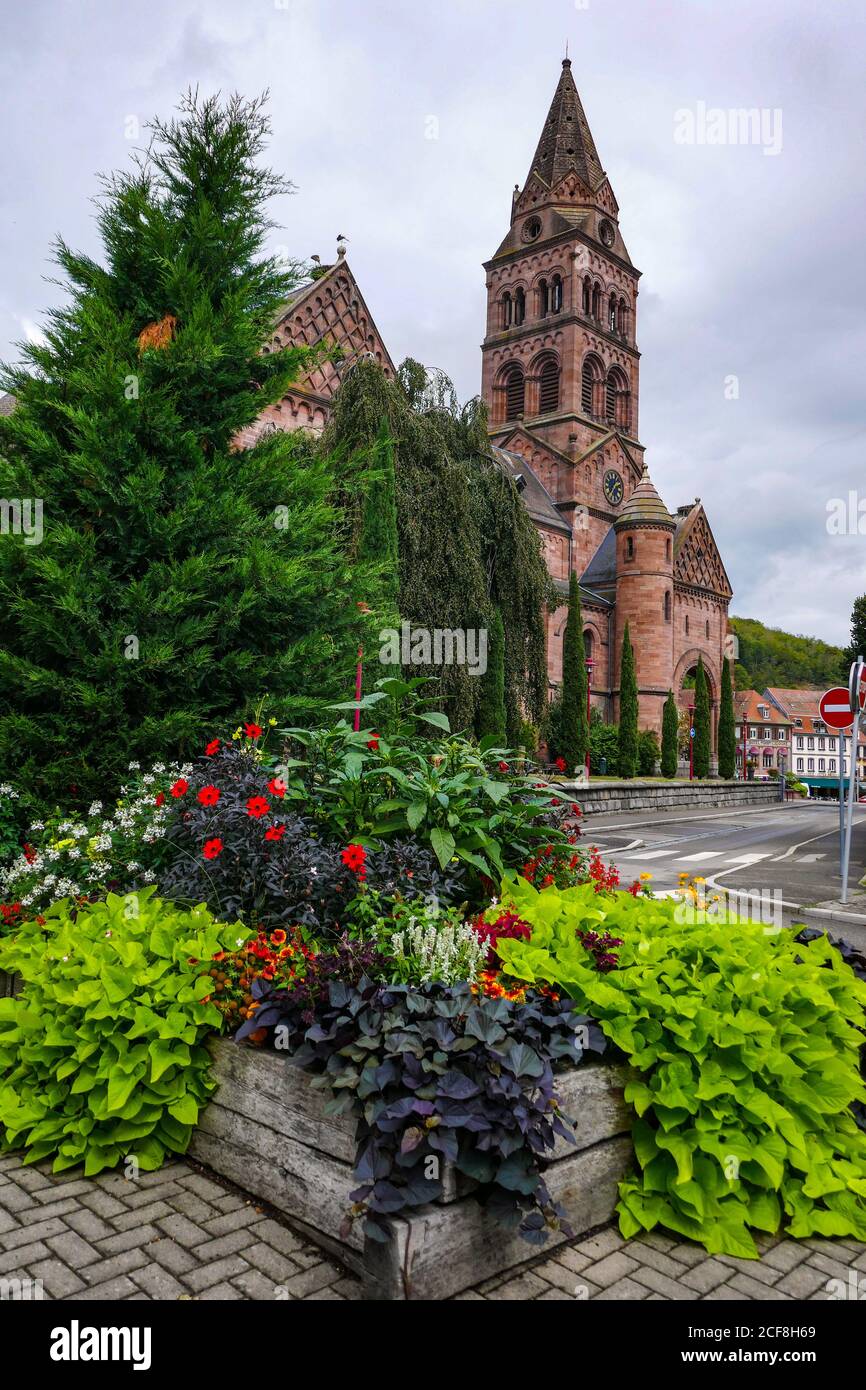Big red sandstone church with tower, ihe old town of Munster, in the ...