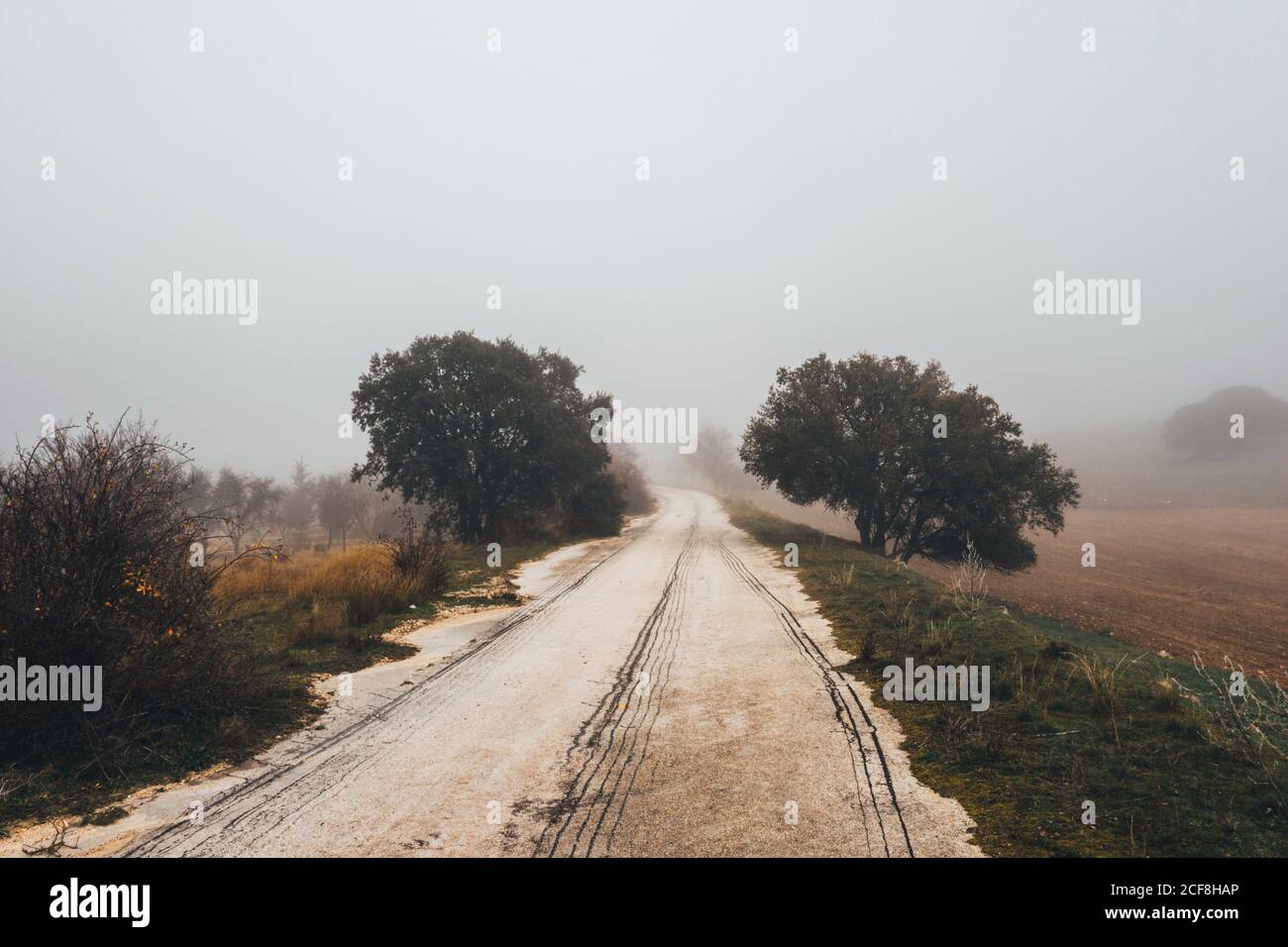 Mysterious scenery hi-res stock photography and images - Alamy