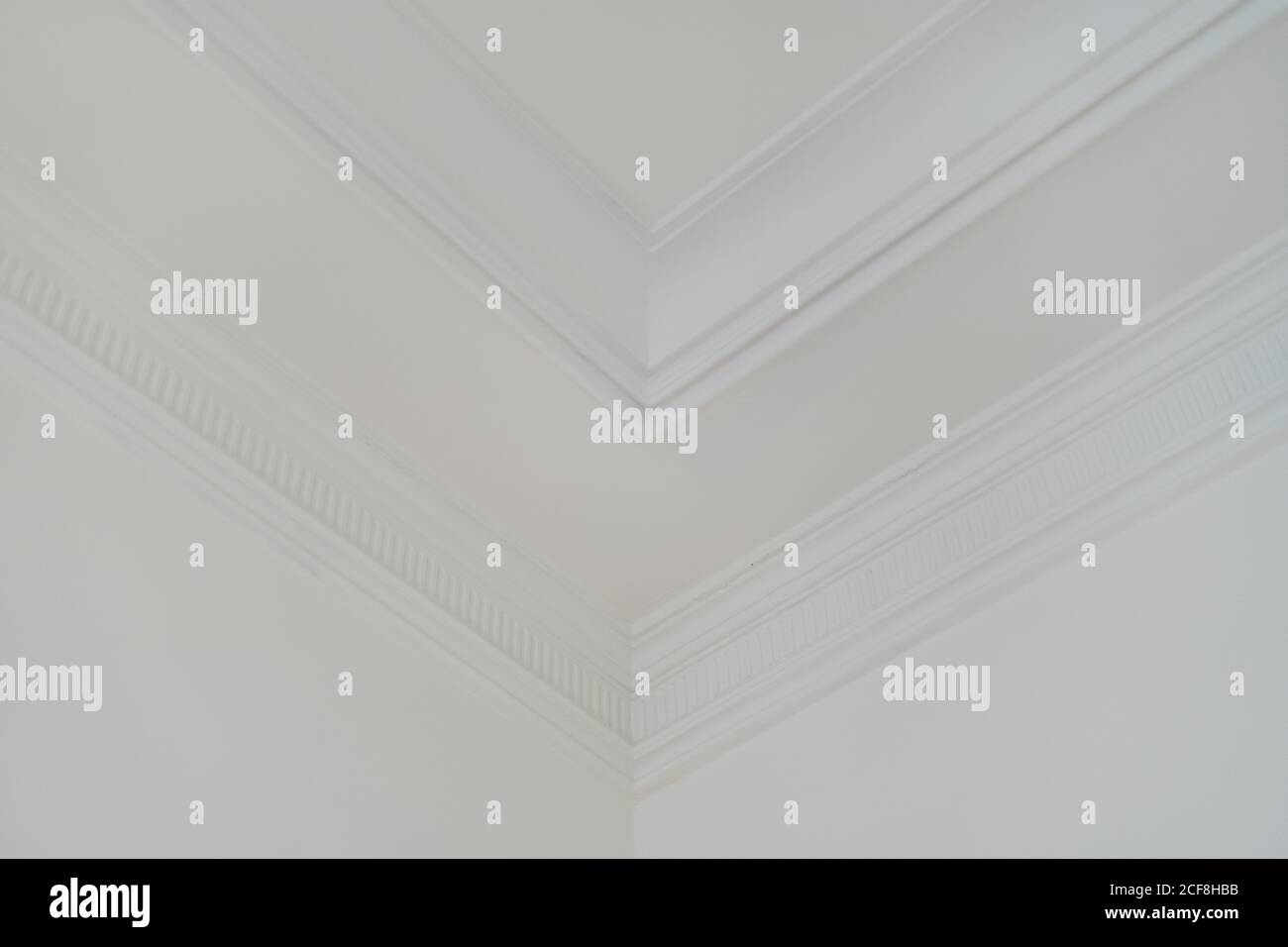 White classic molding in light room with white matte paneled walls ...