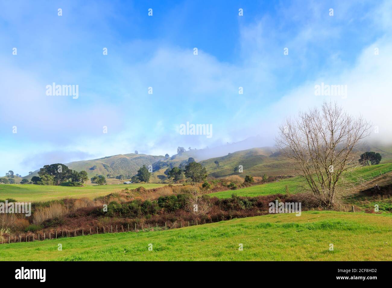 Rural landscape new zealand hi-res stock photography and images - Alamy