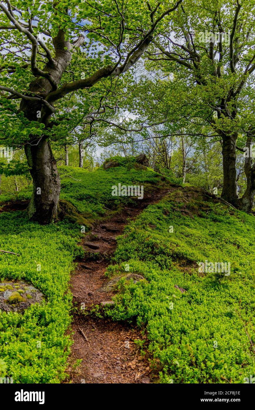Discovery tour at the edge of the Thuringian Forest - Thuringia/Germany ...