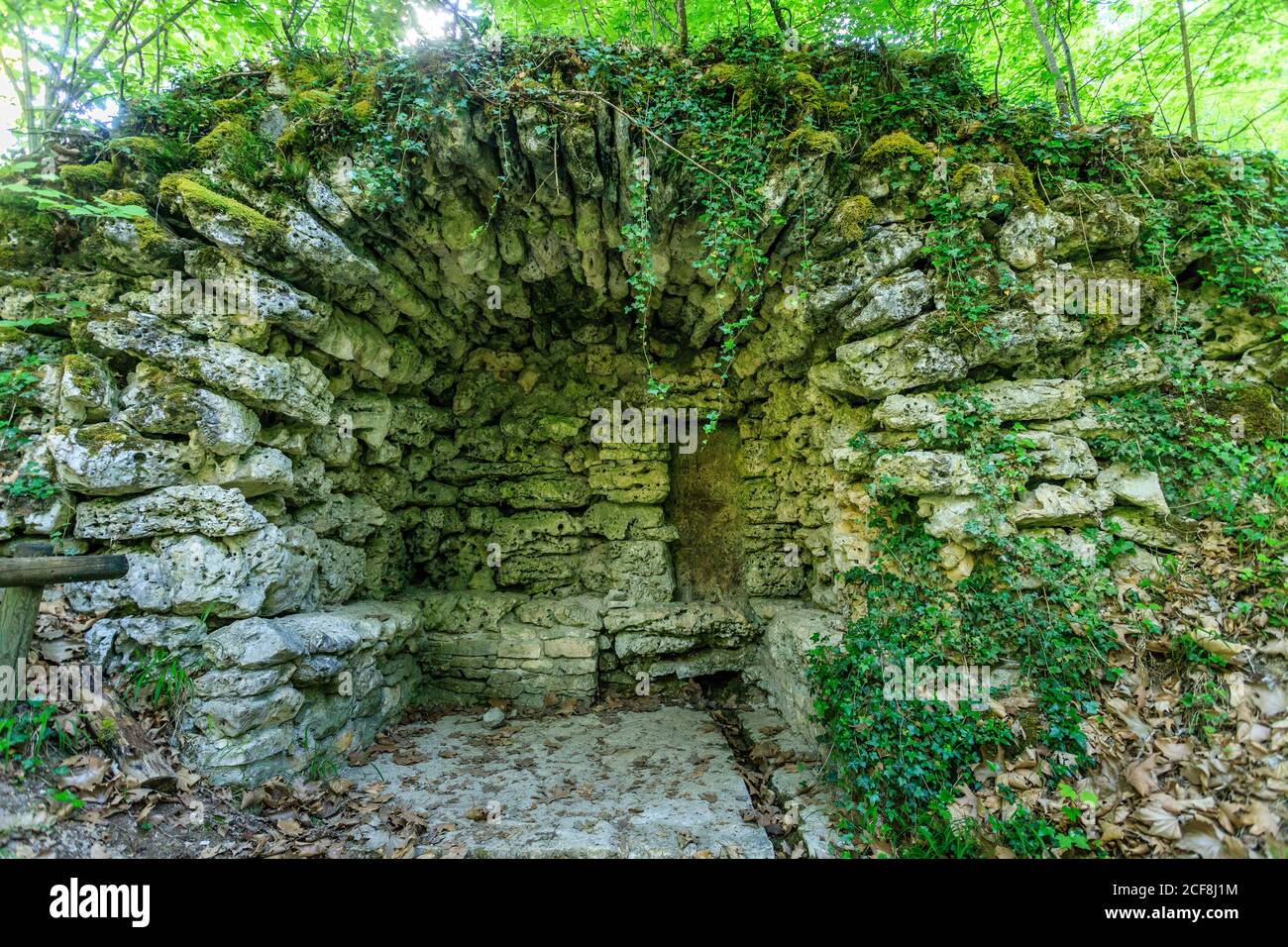 France, Cote d’Or, Val Suzon Regional Natural Reserve, Etaules, Foret ...