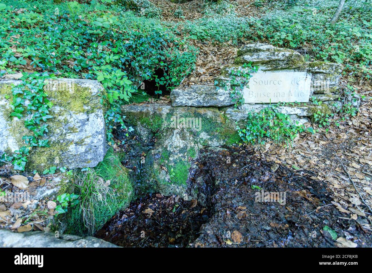 France, Cote d’Or, Val Suzon Regional Natural Reserve, Etaules, Foret ...