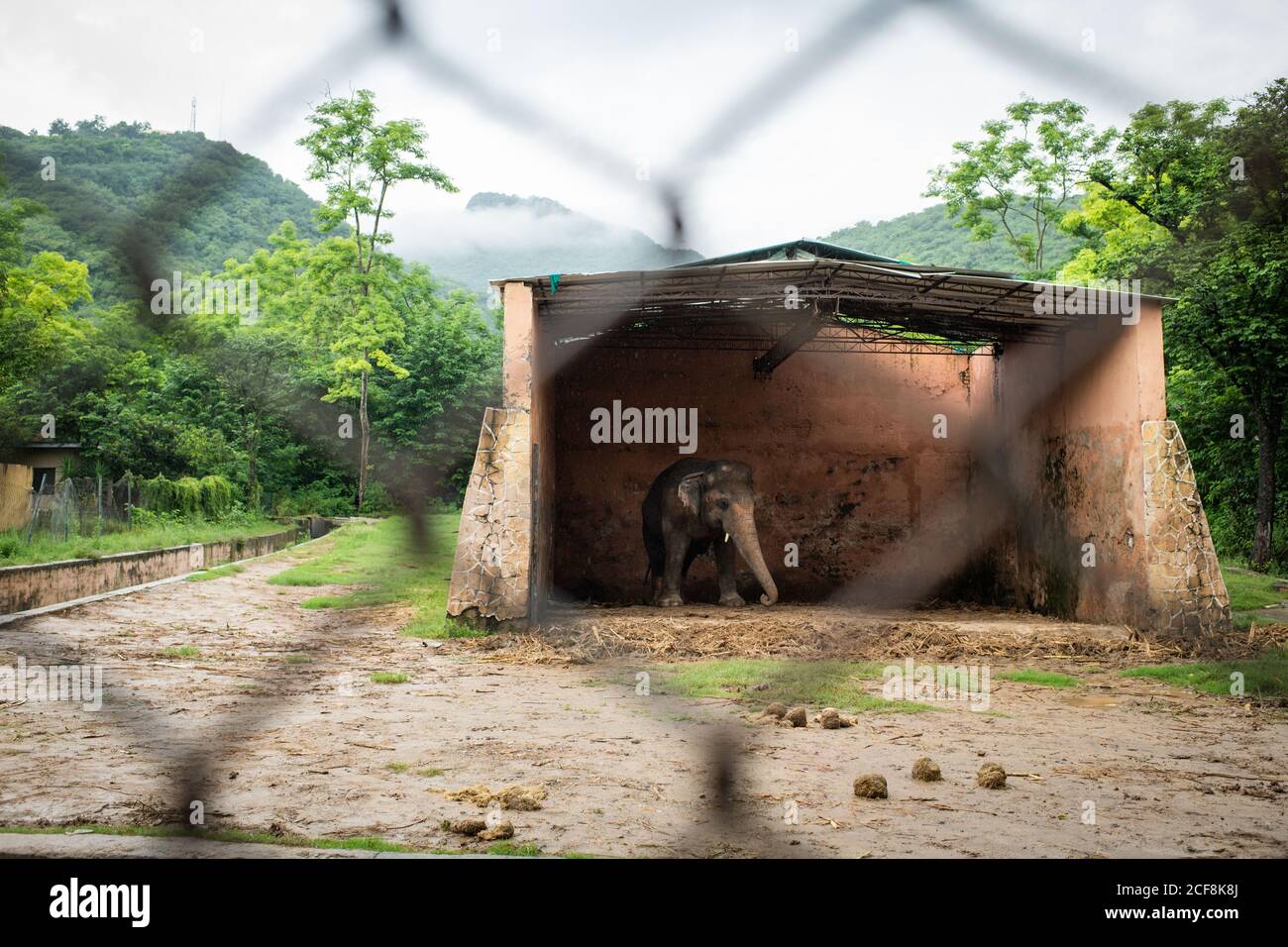 Poor enclosure hi-res stock photography and images - Alamy