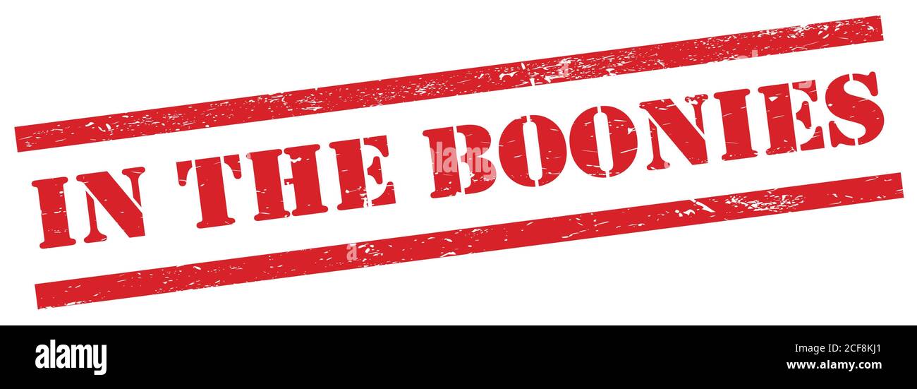 IN THE BOONIES text on red grungy rectangle stamp Stock Photo - Alamy