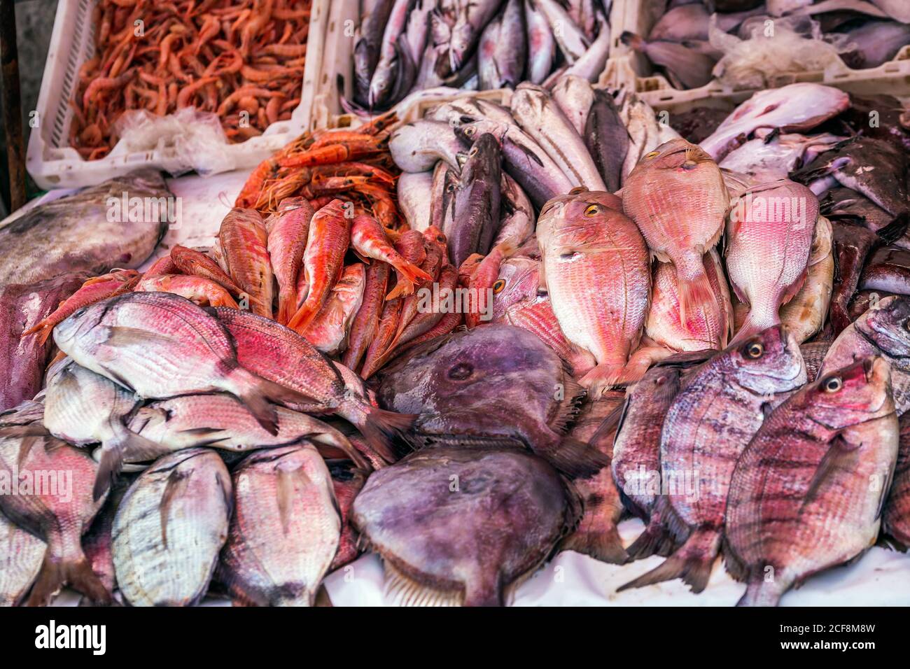 Fish from Atlantic ocean at the Essaouira port in Morocco Stock Photo ...