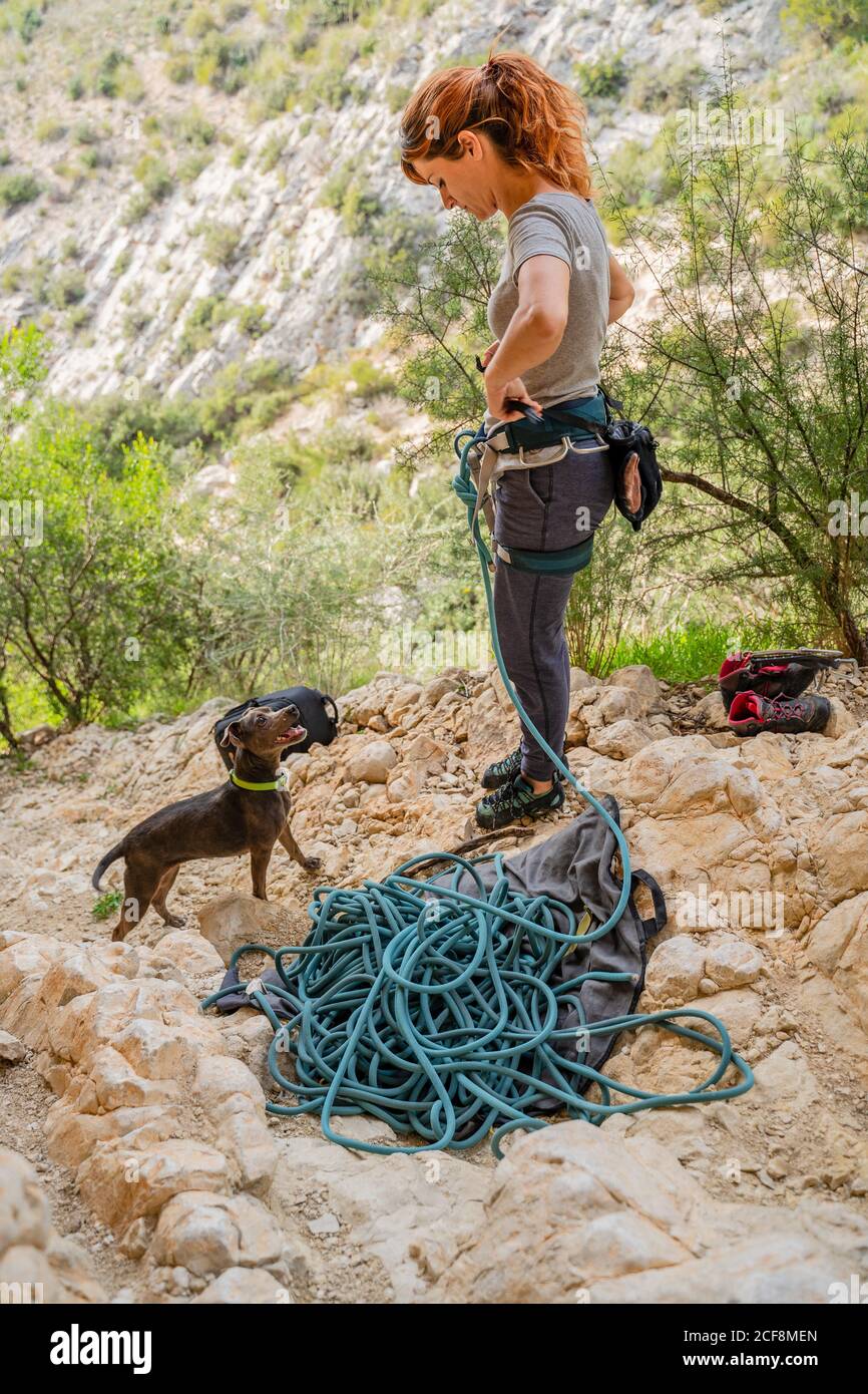 From above side view of female alpinist getting ready for climbing ...