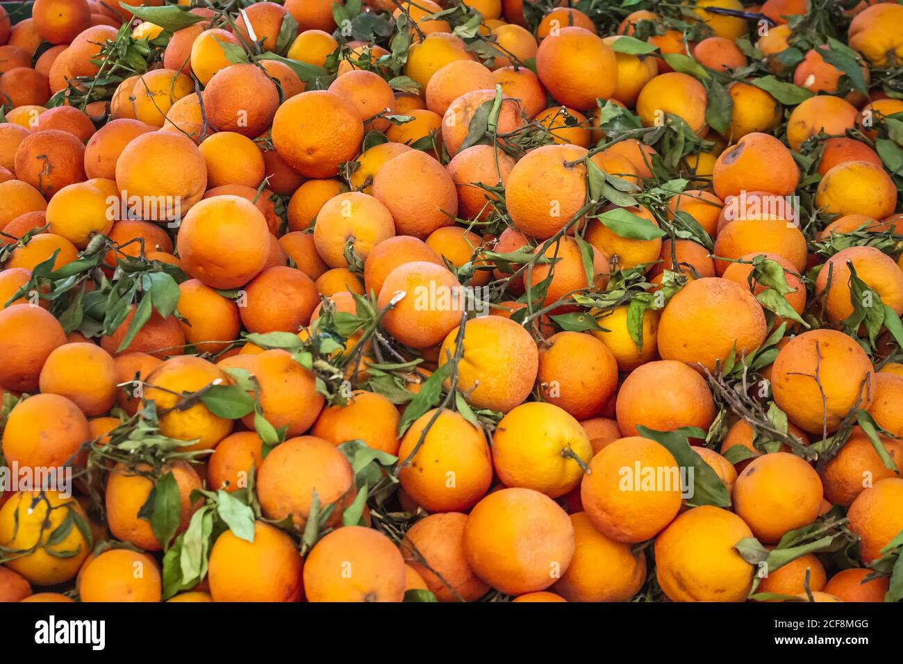 Moroccan oranges for sale hi-res stock photography and images - Alamy