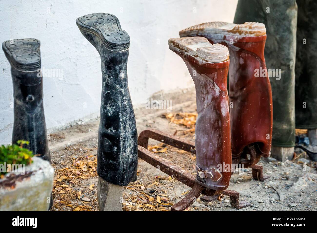 Upside down mud boots at the ranch in Camargue, France Stock Photo - Alamy