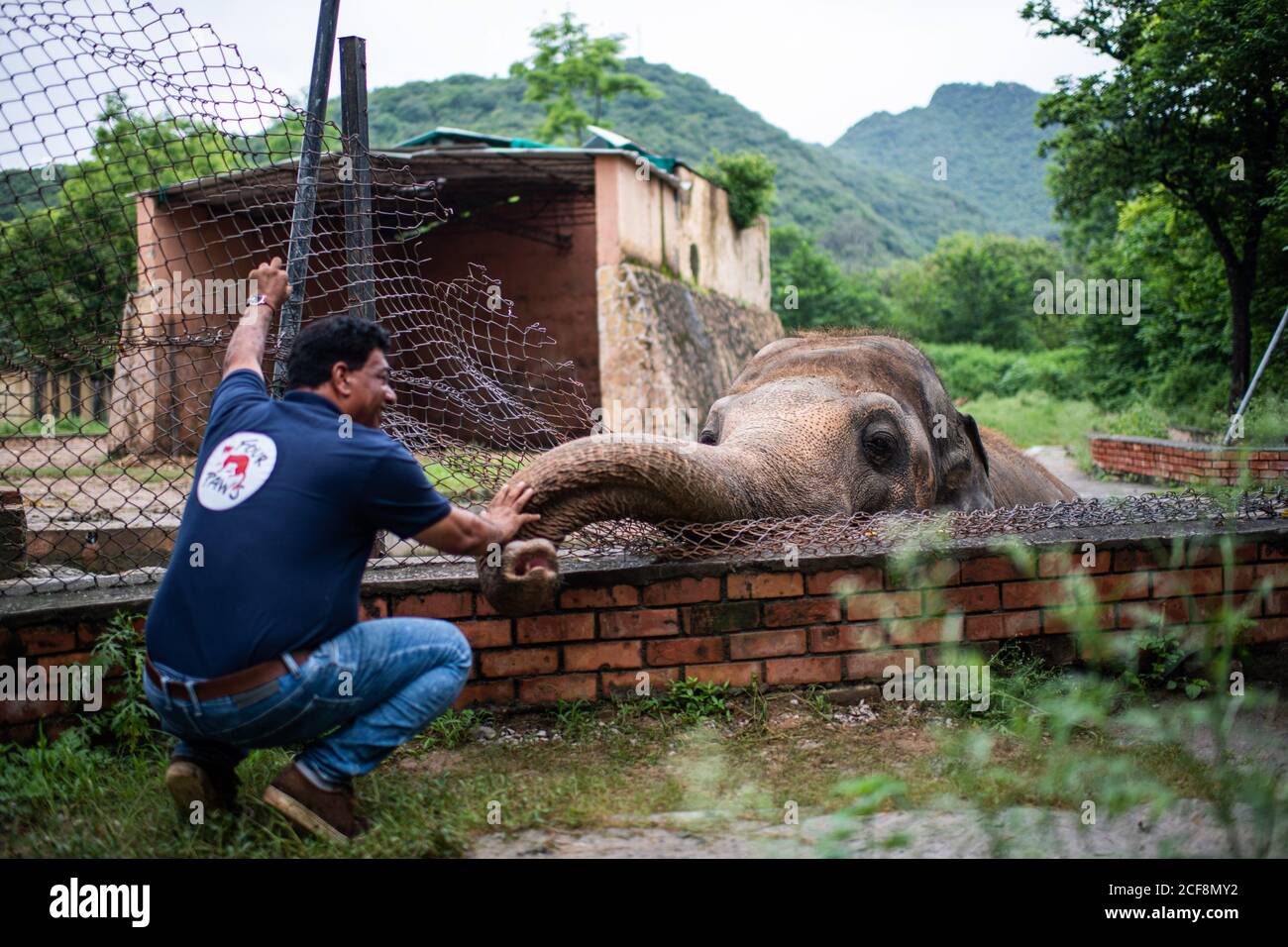 04 September 2020, Pakistan, Islamabad: Amir Khalil, veterinarian of ...