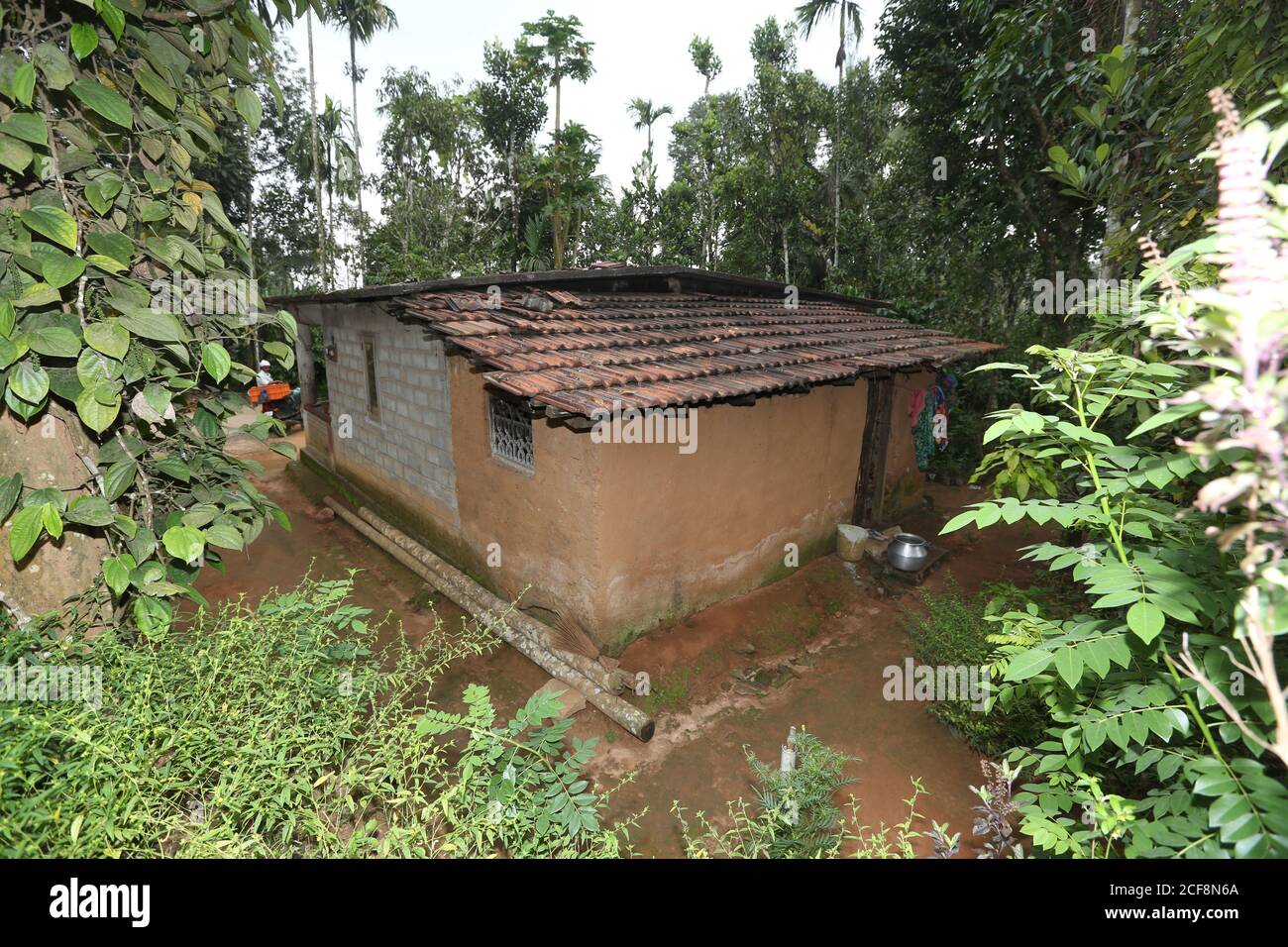 Kerala hut home hi-res stock photography and images - Alamy