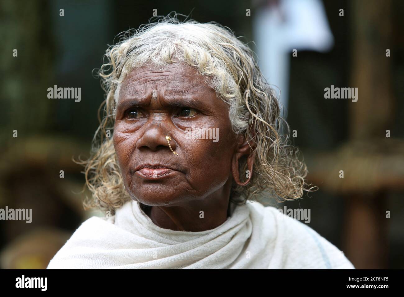 PANIYAN TRIBE, Old Woman with nose ring, Chulliyod Village, Vannathara ...