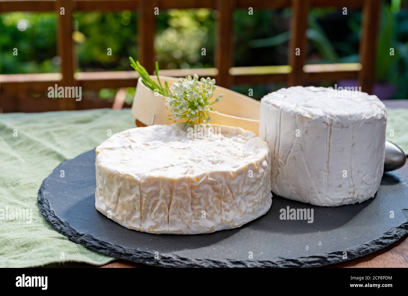 French cheeses collection, pieces of camembert and Le Bleu cow milk ...