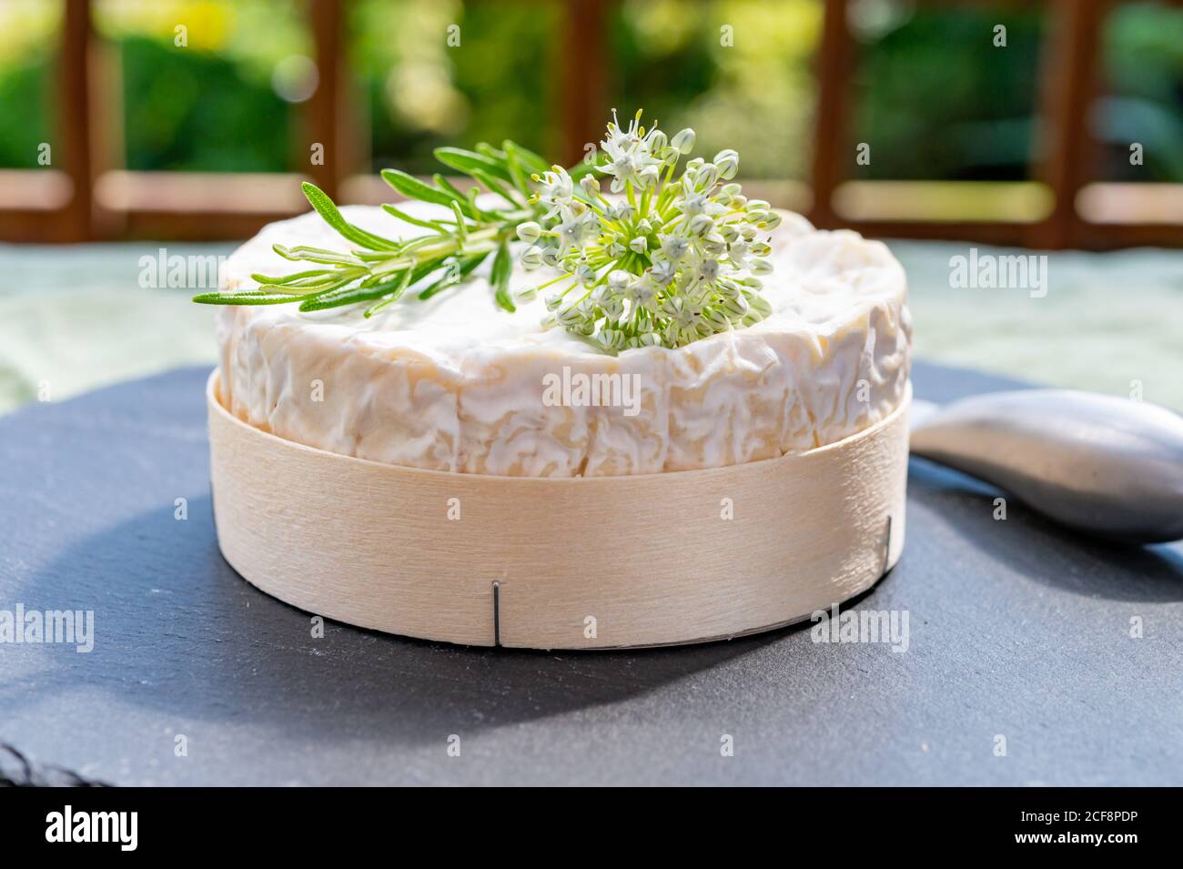 French cheeses collection, piece of matured camembert cow milk cheese ...