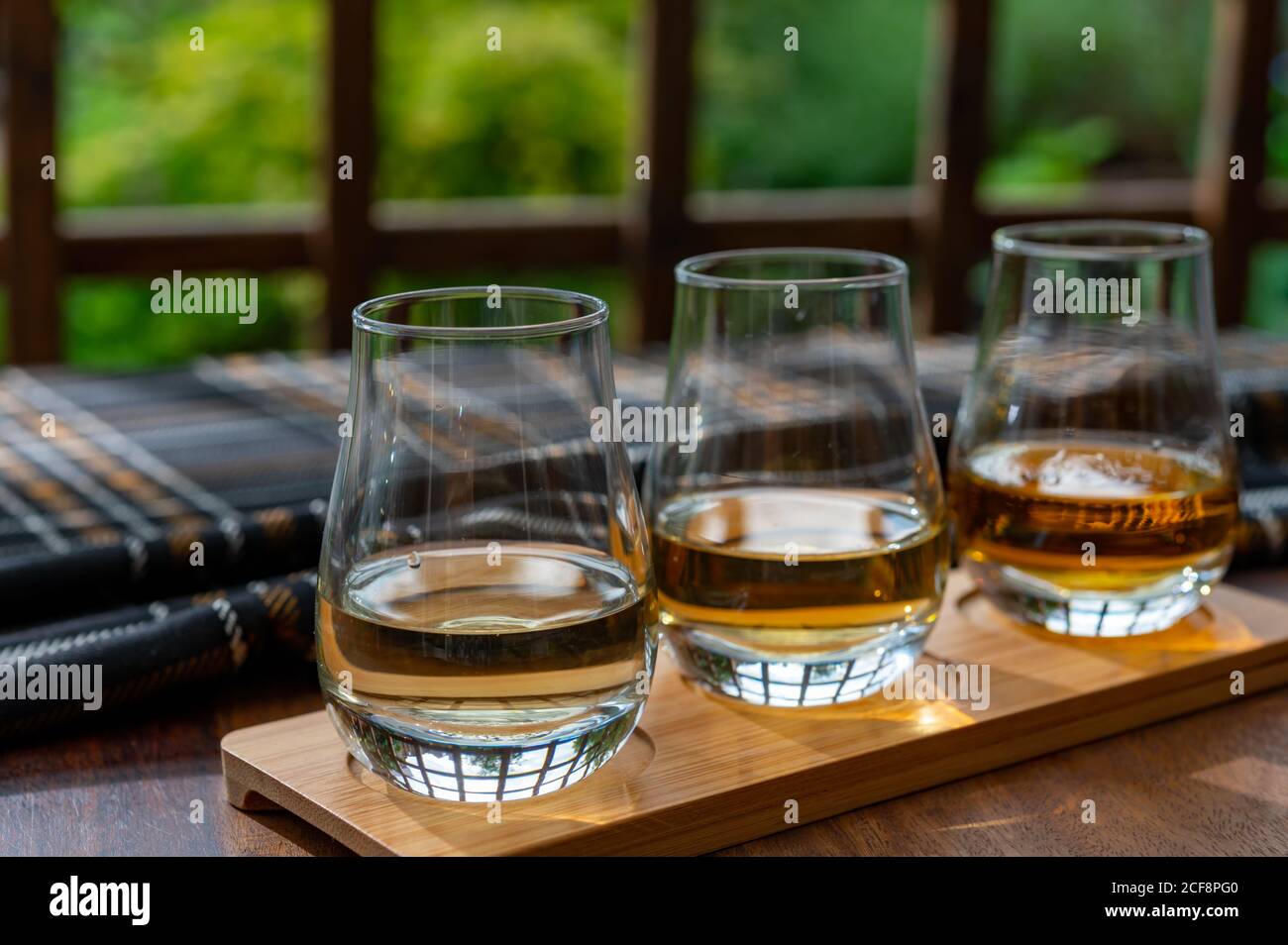 Tasting of different Scotch whisky drinks in traditional old British ...