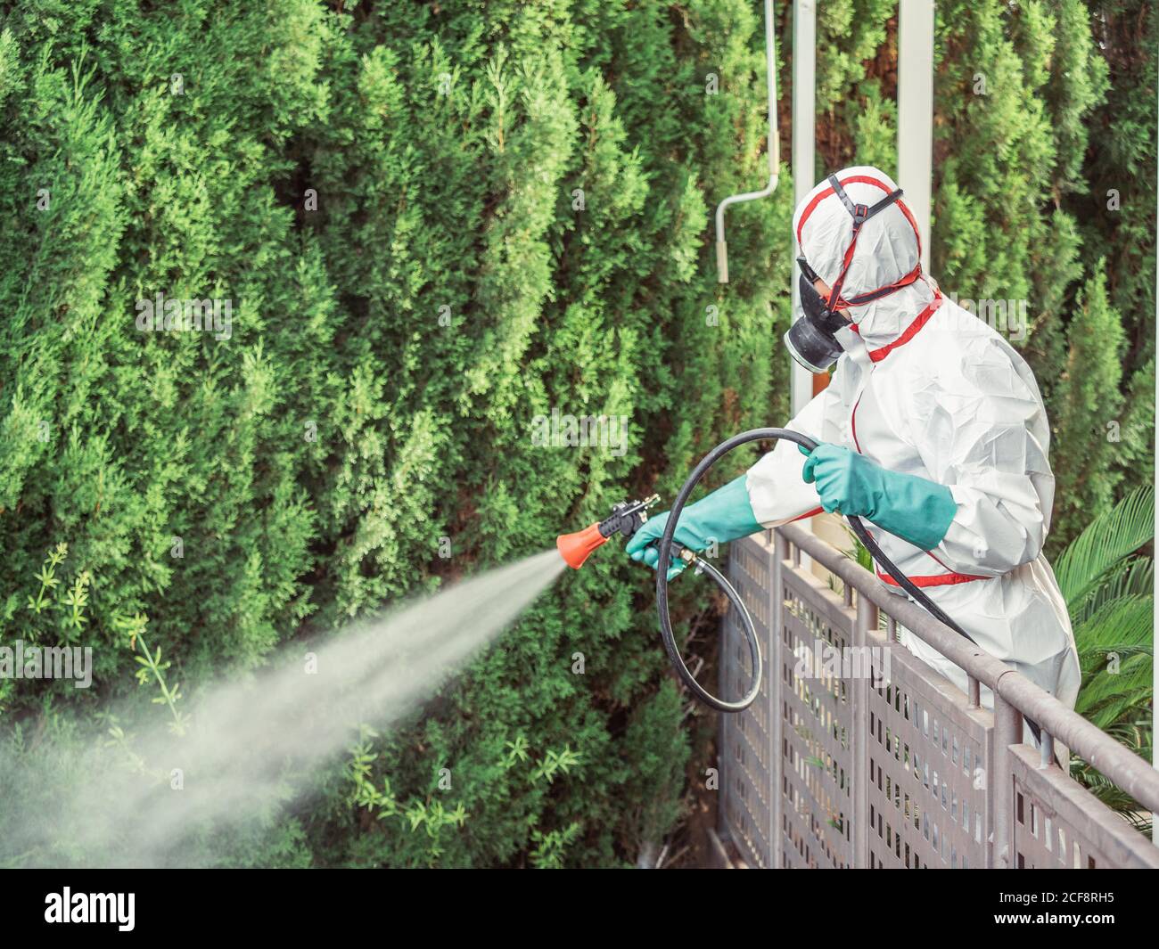 Fumigator in white uniform spraying substance on garden Stock Photo - Alamy
