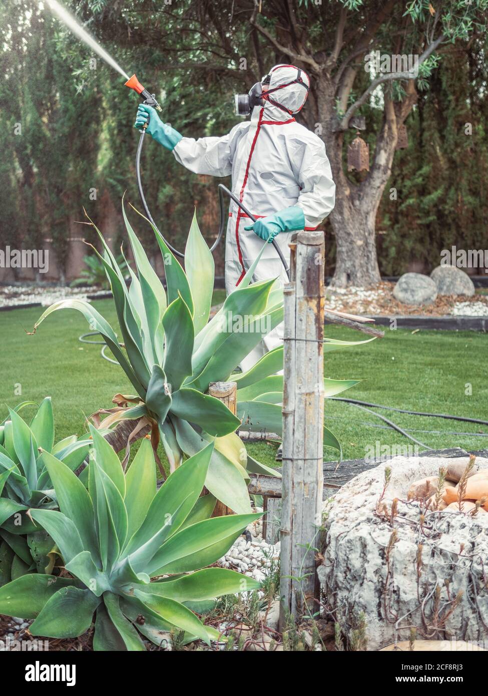 Fumigator in white uniform spraying substance on garden Stock Photo - Alamy