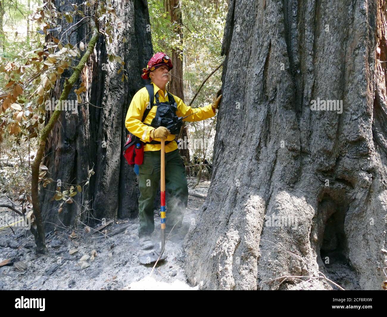 Barbara armstrong hi-res stock photography and images - Alamy