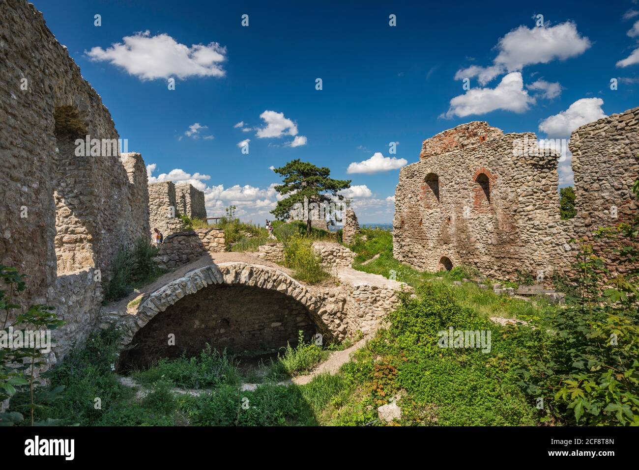 Ruins of Starojicinsky hrad, medieval castle on hill above village of ...