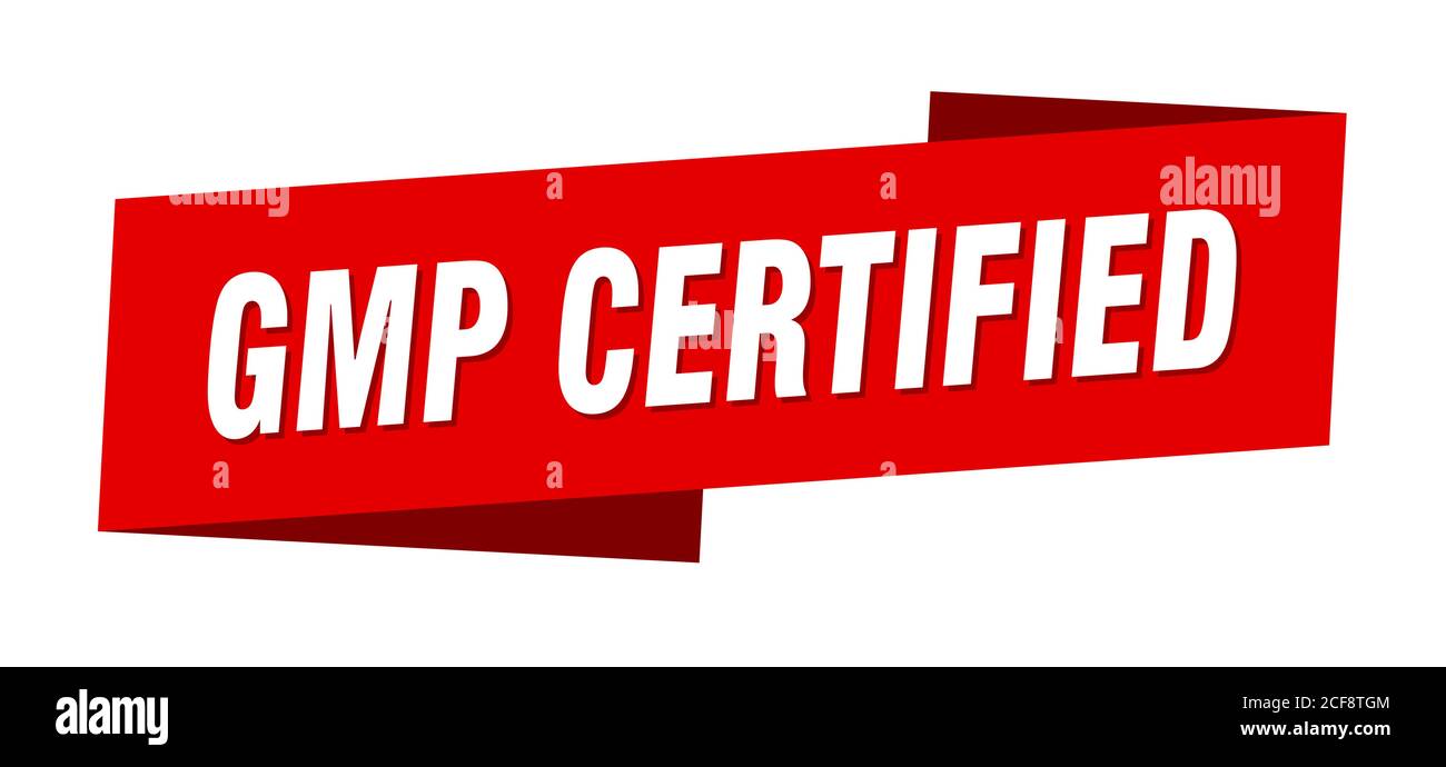 gmp certified banner template. ribbon label sticker. sign Stock Vector ...