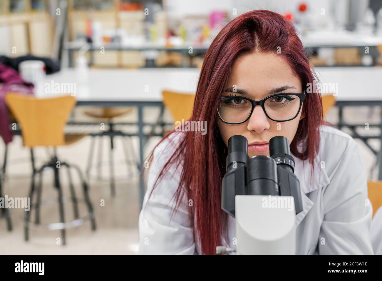 Hair analysis lab hi-res stock photography and images - Alamy
