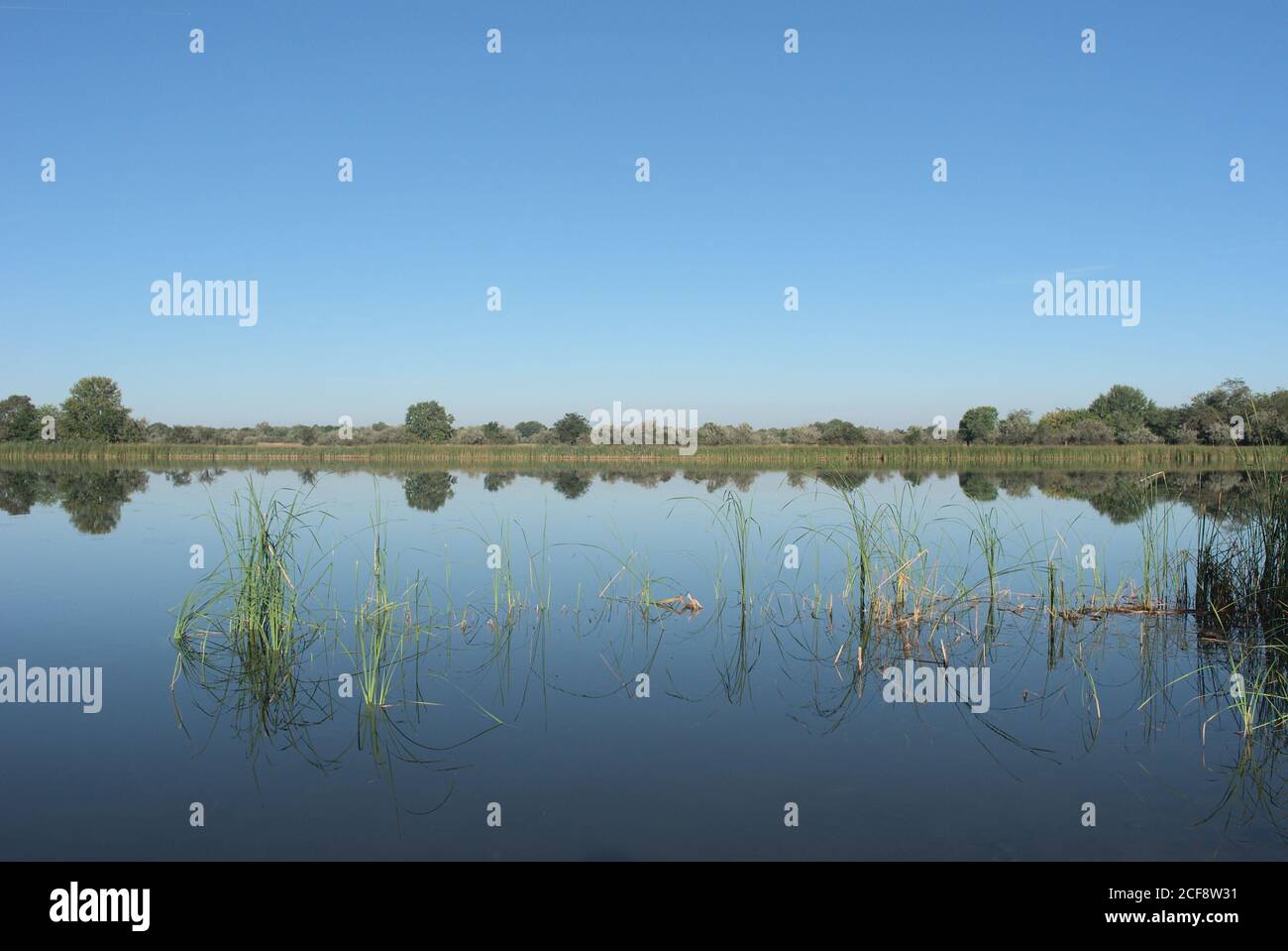 Lake Nebunu, Letea Forest, Periprava, Danube Delta, Romania Stock Photo ...