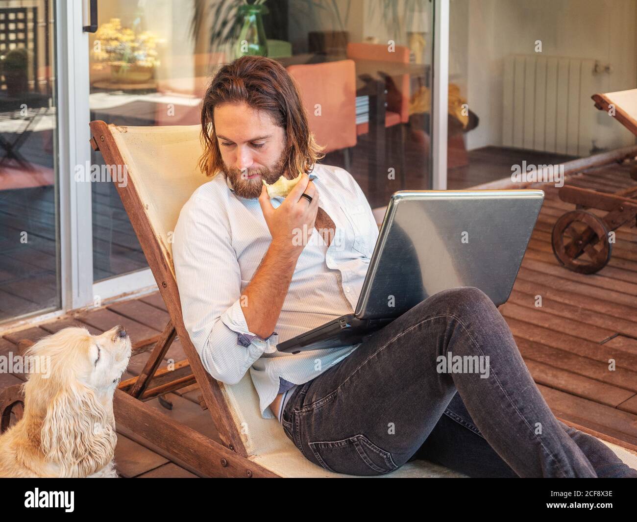 man with laptop giving apple core to dog Stock Photo - Alamy