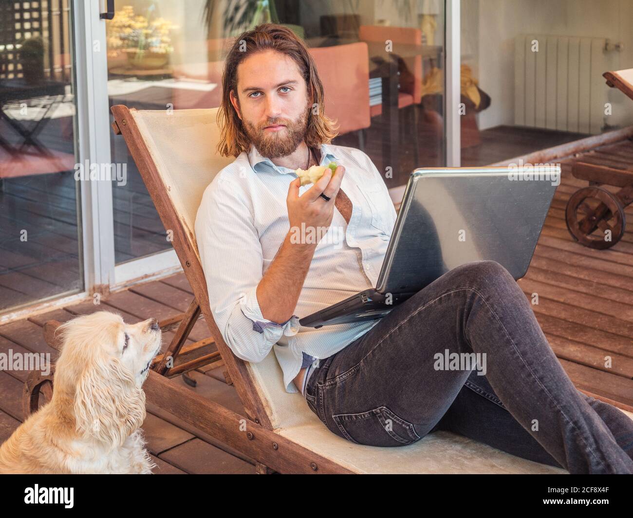 man with laptop giving apple core to dog Stock Photo - Alamy