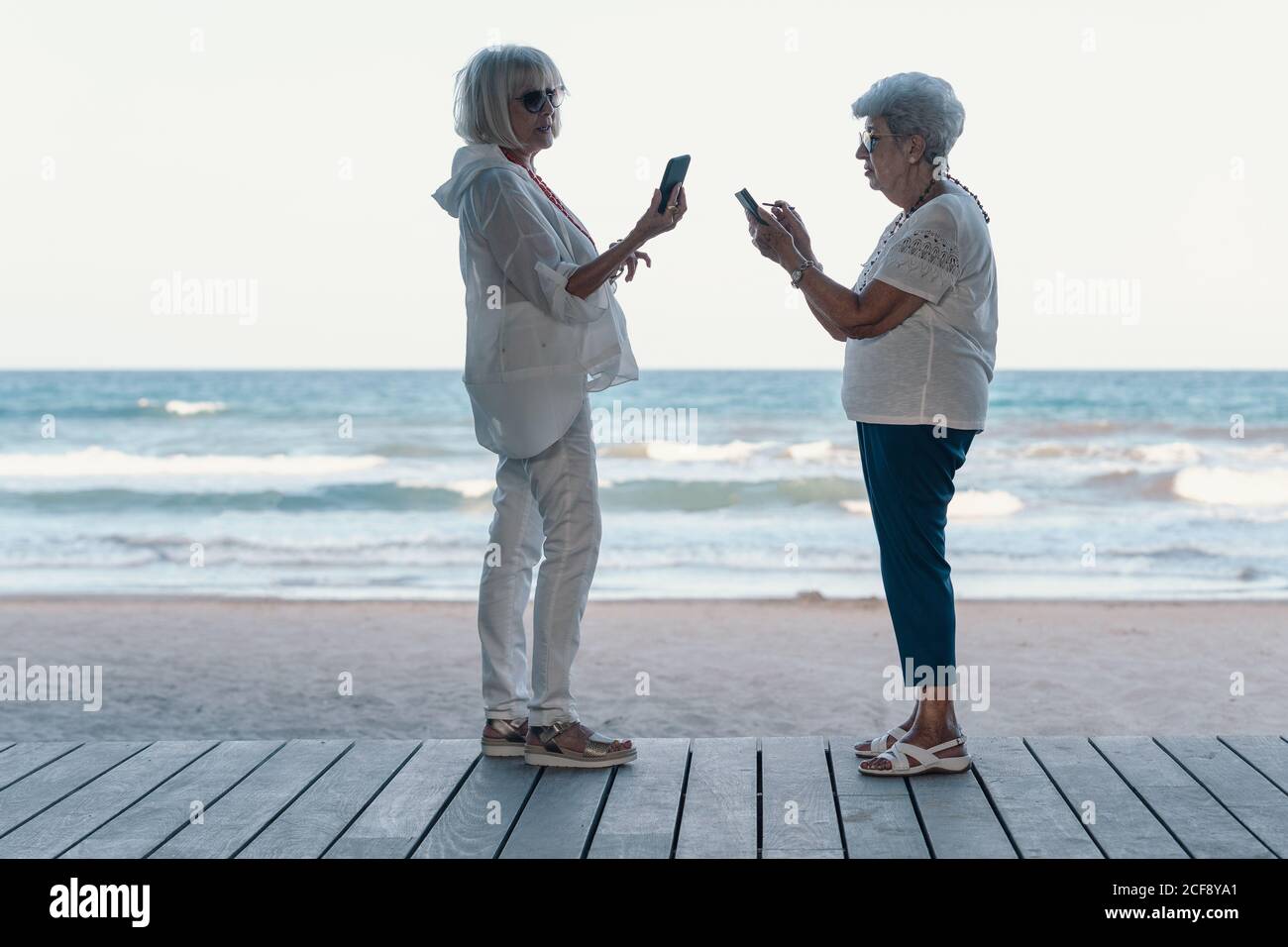 Side view of aged confident thoughtful modern grey-haired seniors ...