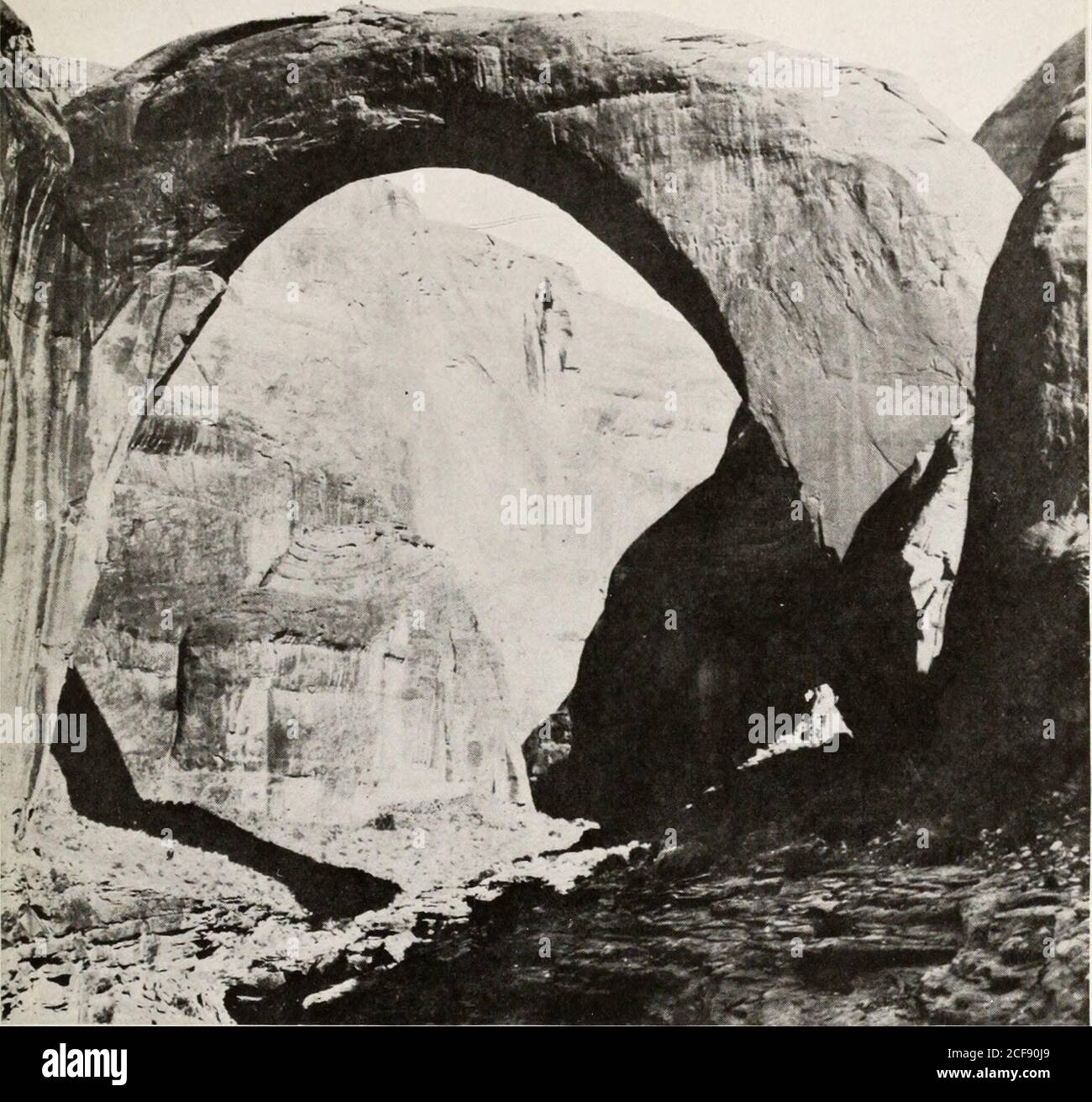 . The national parks portfolio. Unearthing the Skeleton of a Giant ...