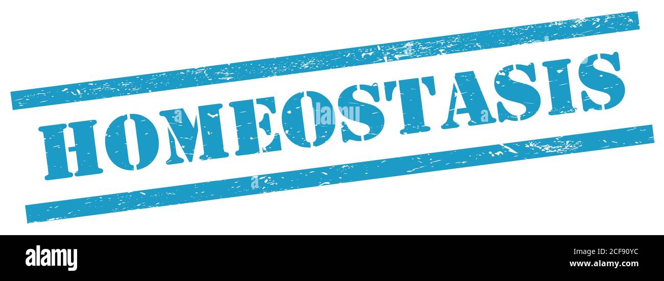 Homeostasis hi-res stock photography and images - Alamy