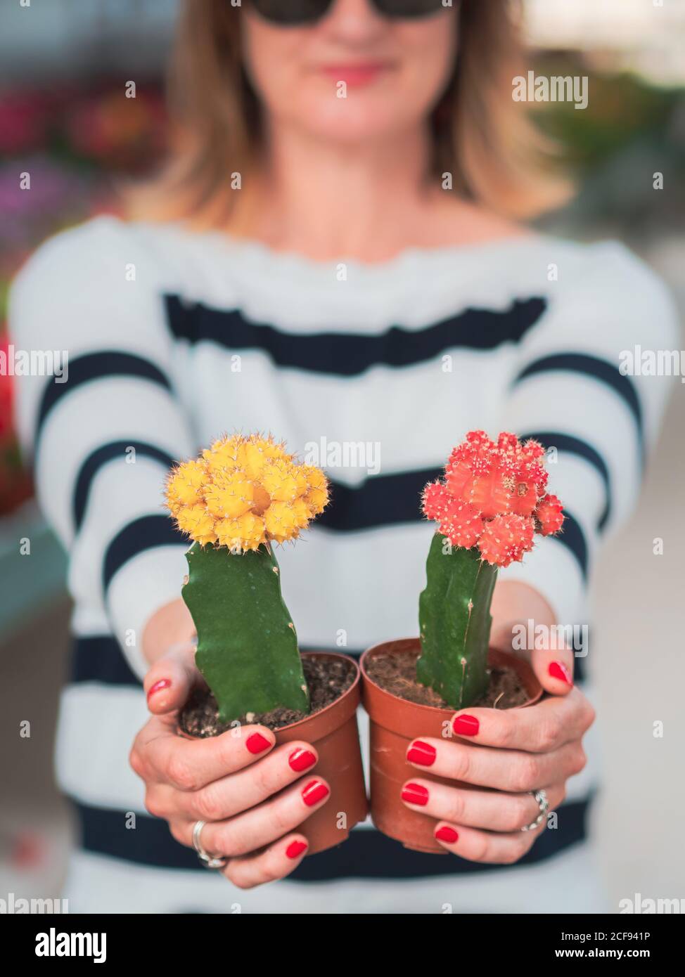 Female with blooming cactus plant Stock Photo - Alamy