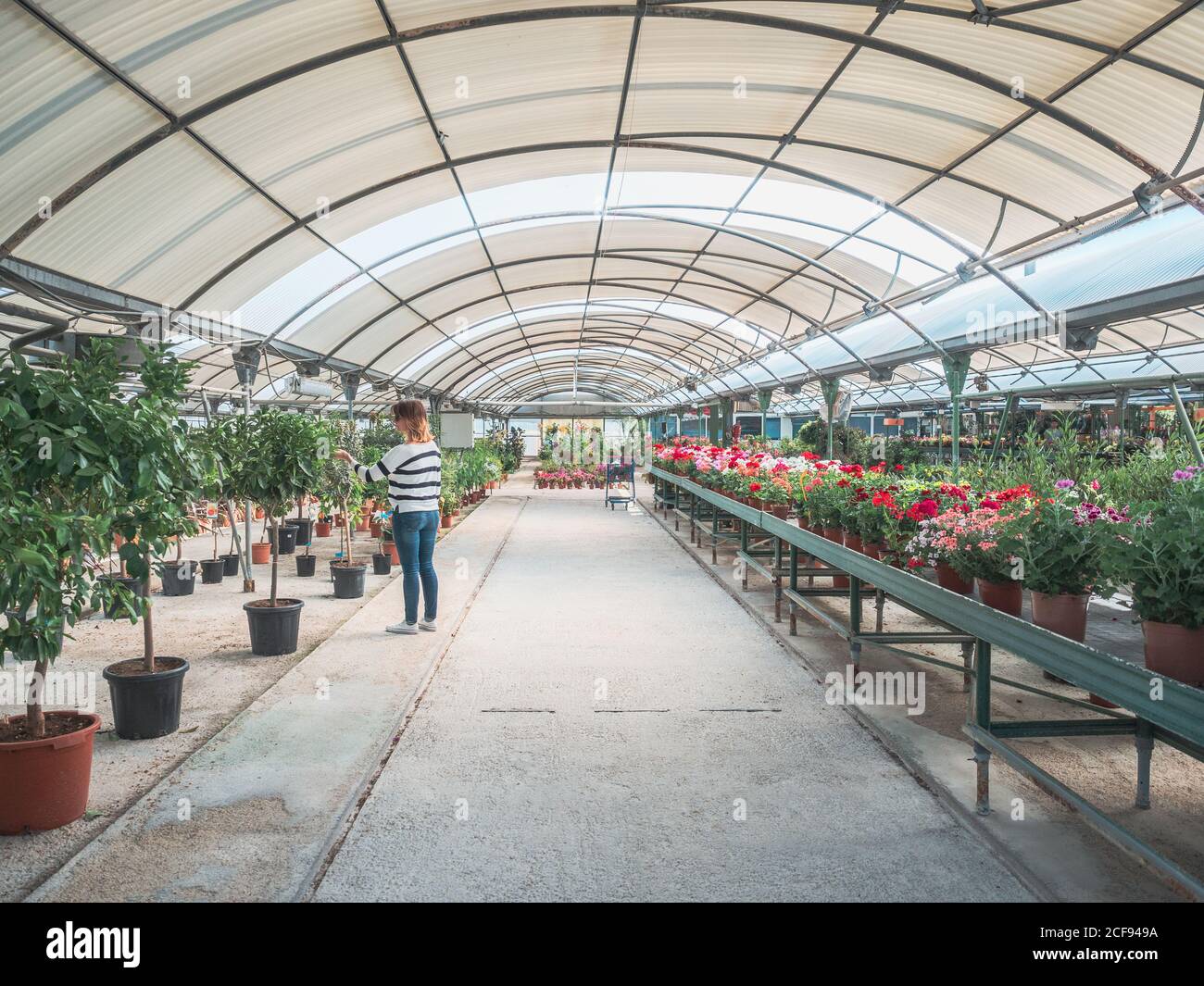 The female bunch hi-res stock photography and images - Alamy