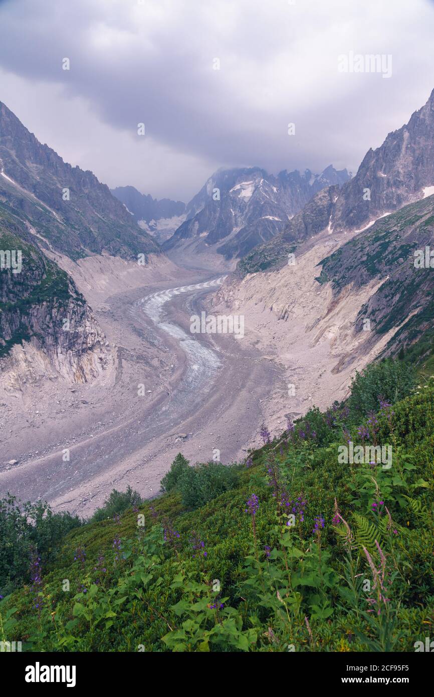 Sharp Plants High Resolution Stock Photography and Images - Alamy