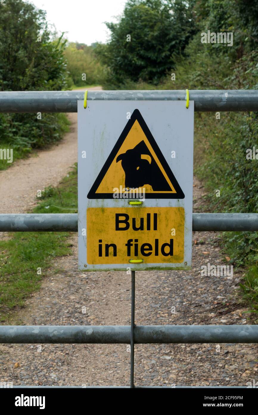 Bull in field warning sign on a gate. Dorset, England Stock Photo - Alamy