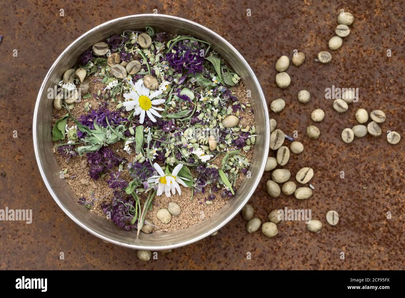 scrub of natural ingredients , flowers on iron rustic background Stock ...